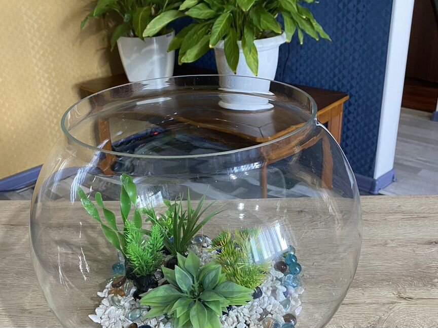 Аквариум круглый 20 л