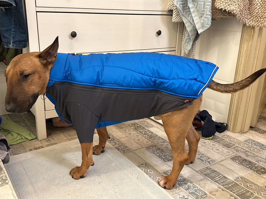 Куртка для крупных собак