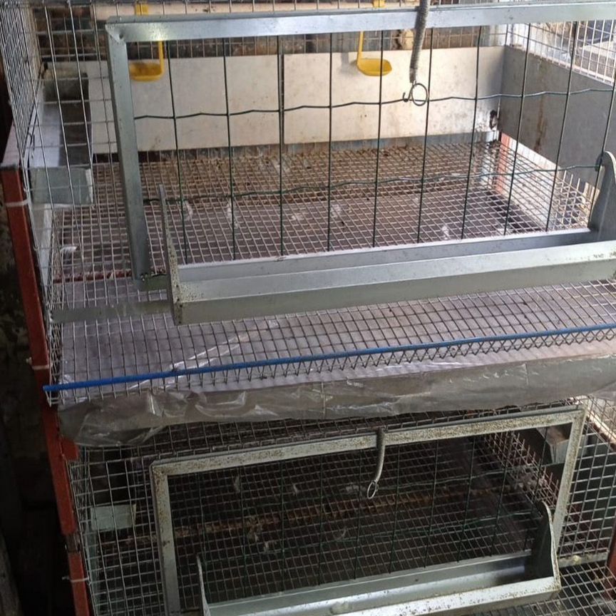 Клетки для кур несушек