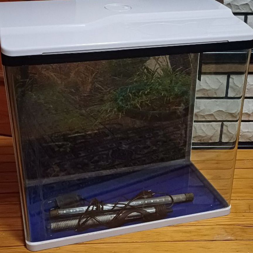 Аквариум