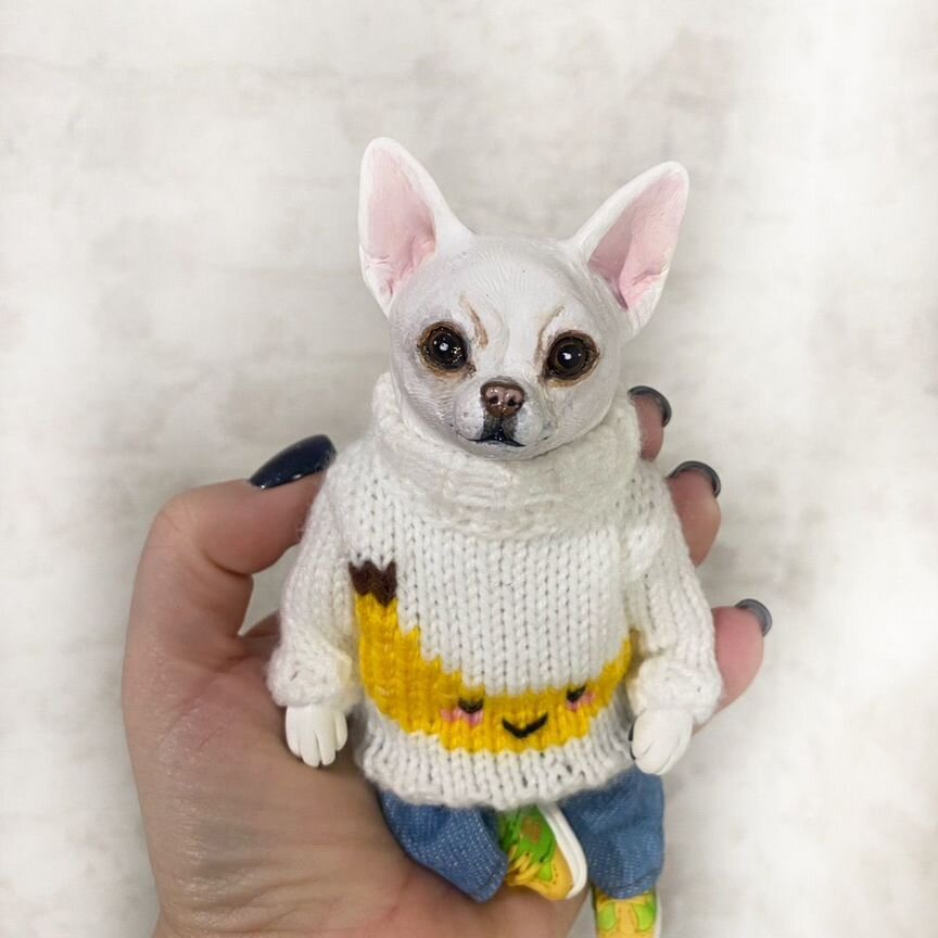 Чихуахуа Сырник