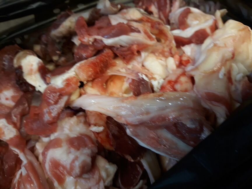 Продам говяжьи рубцы для собак
