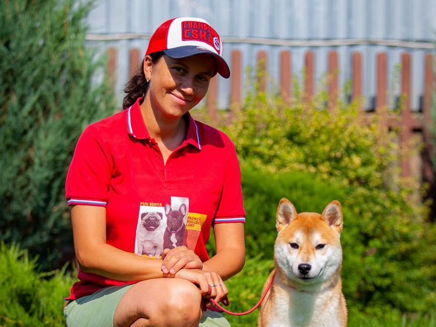 Сиба ину 1 год ищет дом