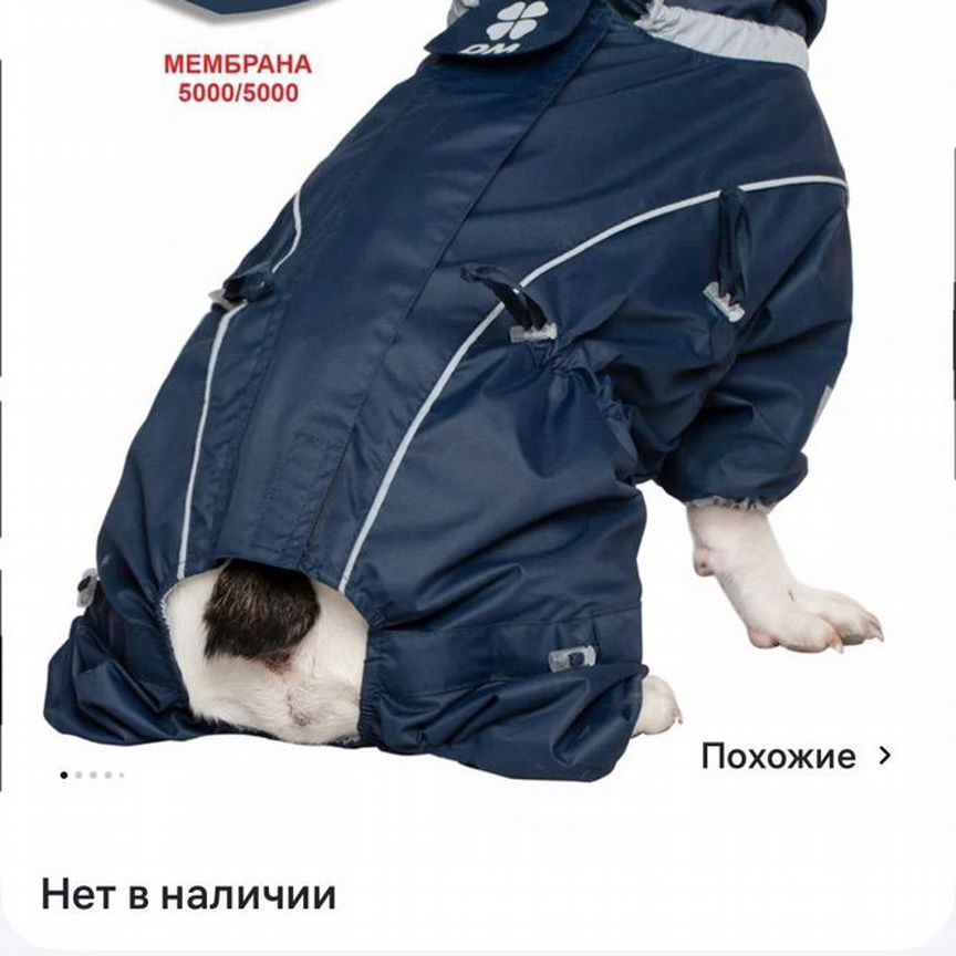 Комбинезон дождевик для французского бульдога