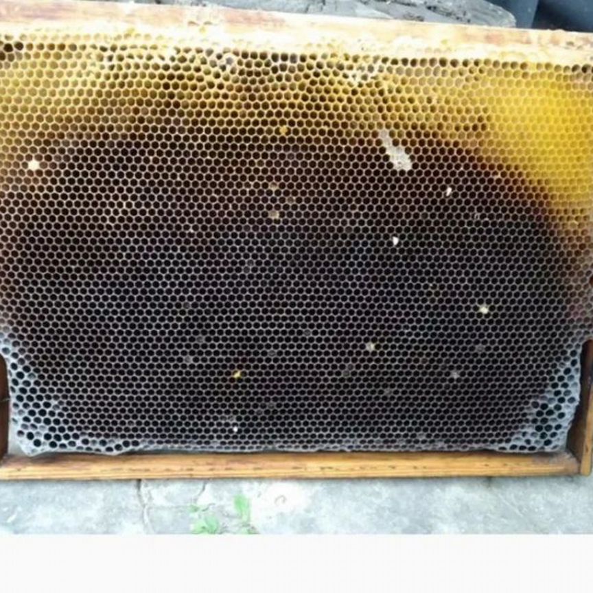 Сушь 300 мм для ловушек, некондиция