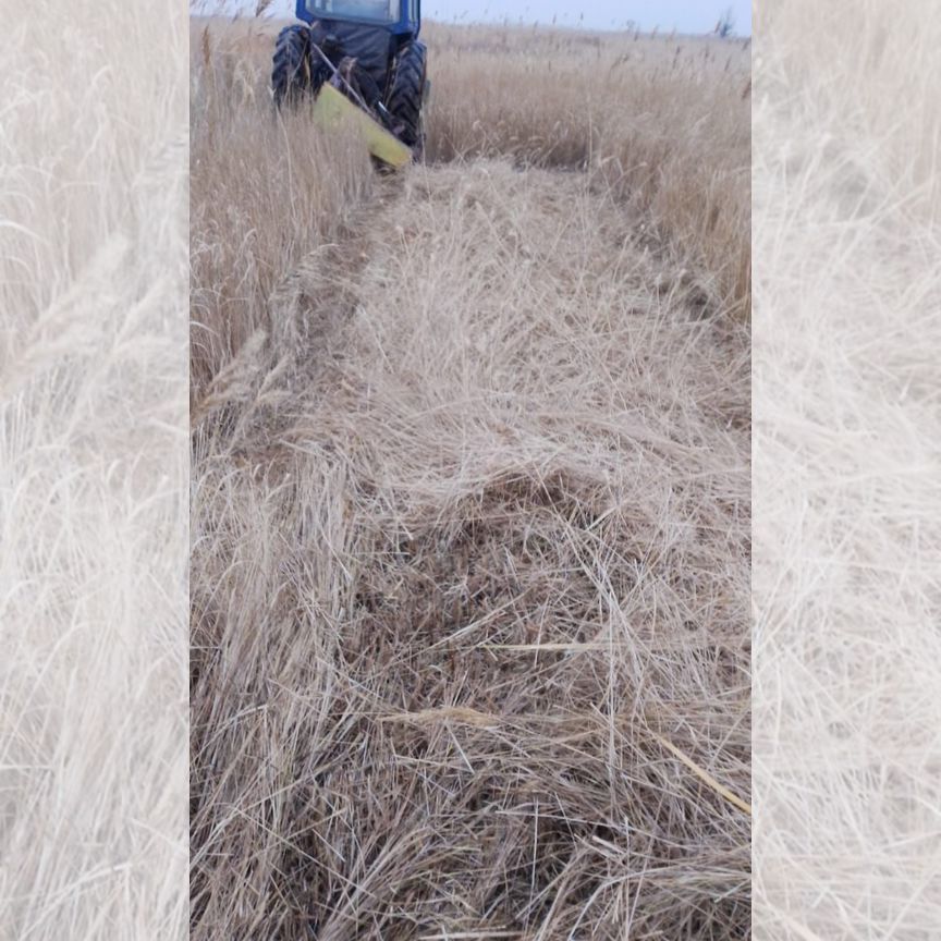 Сено в квадратных тюках