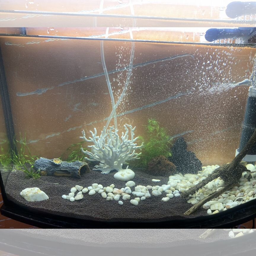 Продам аквариум с рыбками