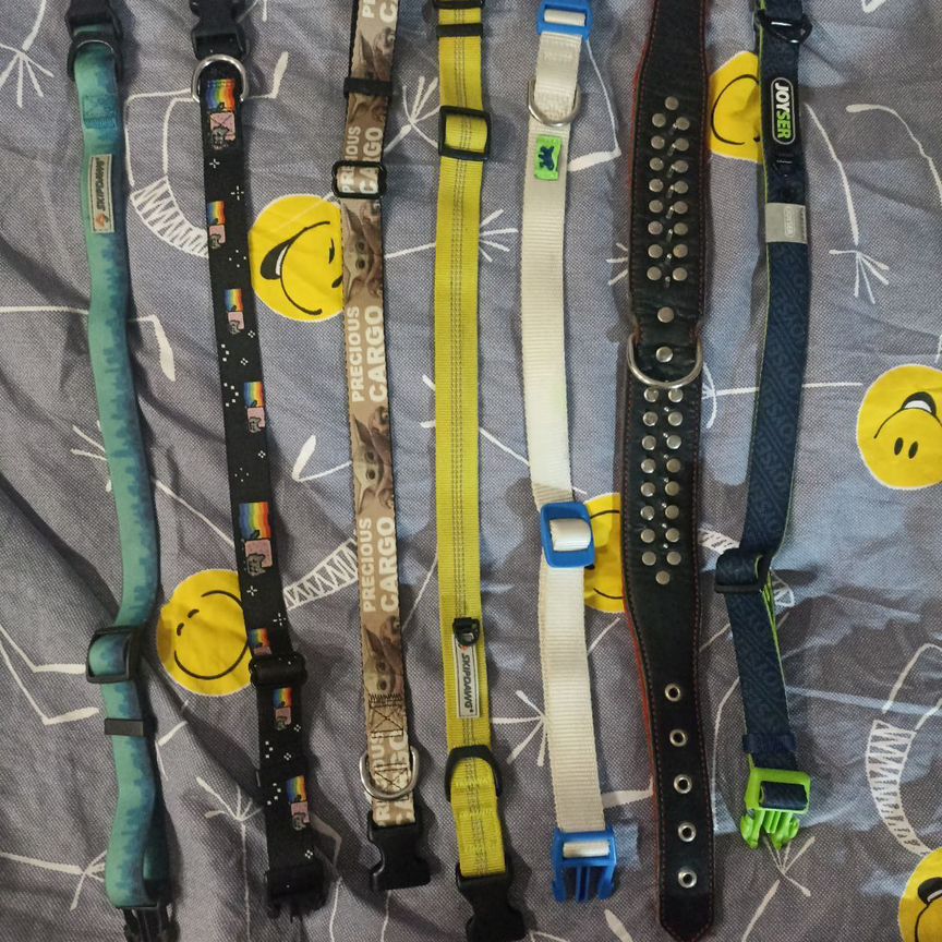 Ошейник для собак бу