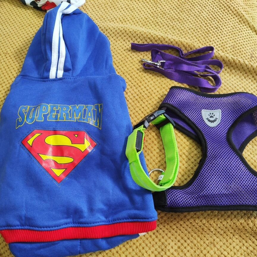 Одежда для собак+шлейка