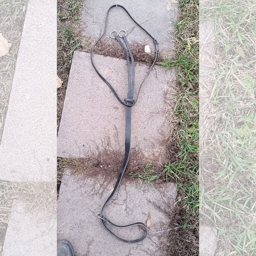 Мартингал для лошади