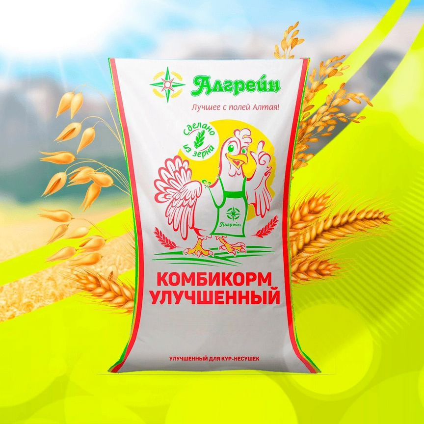 Инновационный комбикорм для кур несушек Алгрейн