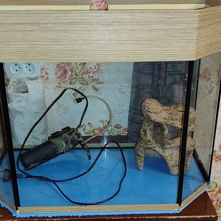 Аквариум