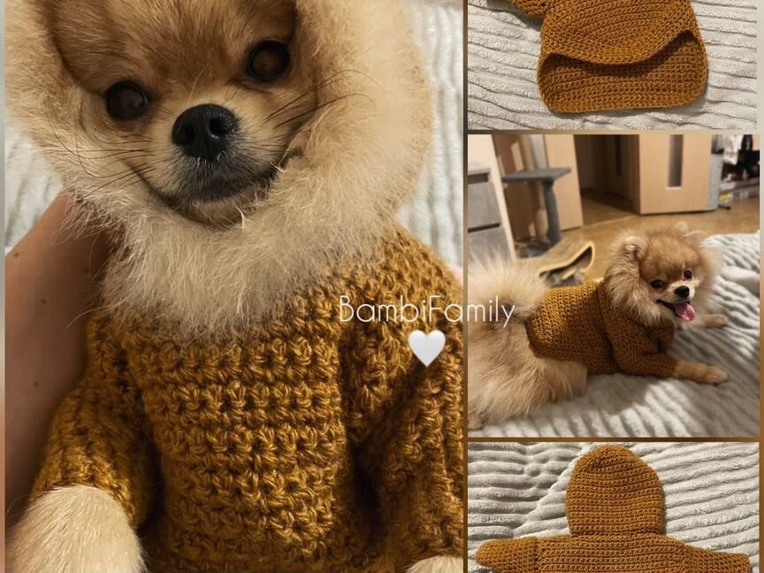 Вязаная кофточка для собак мелких пород