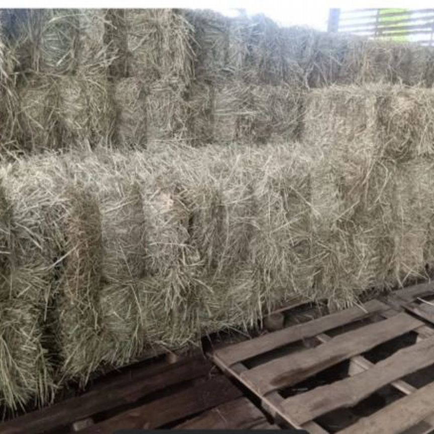 Сено в тюках