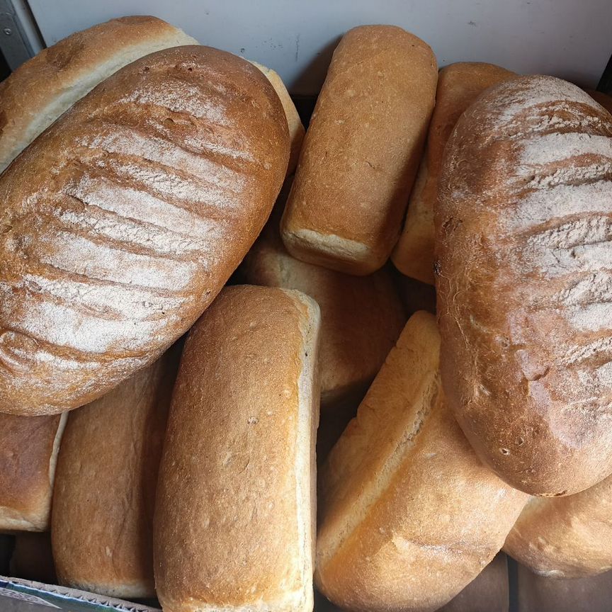 Хлеб для животных