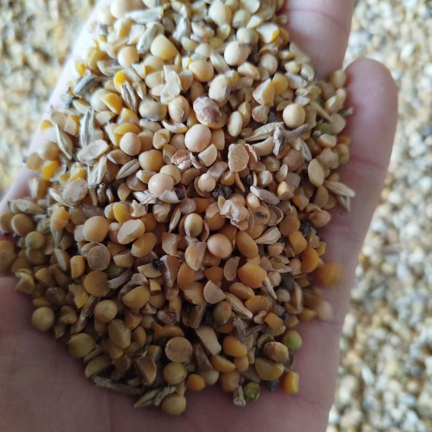 Соя половинки