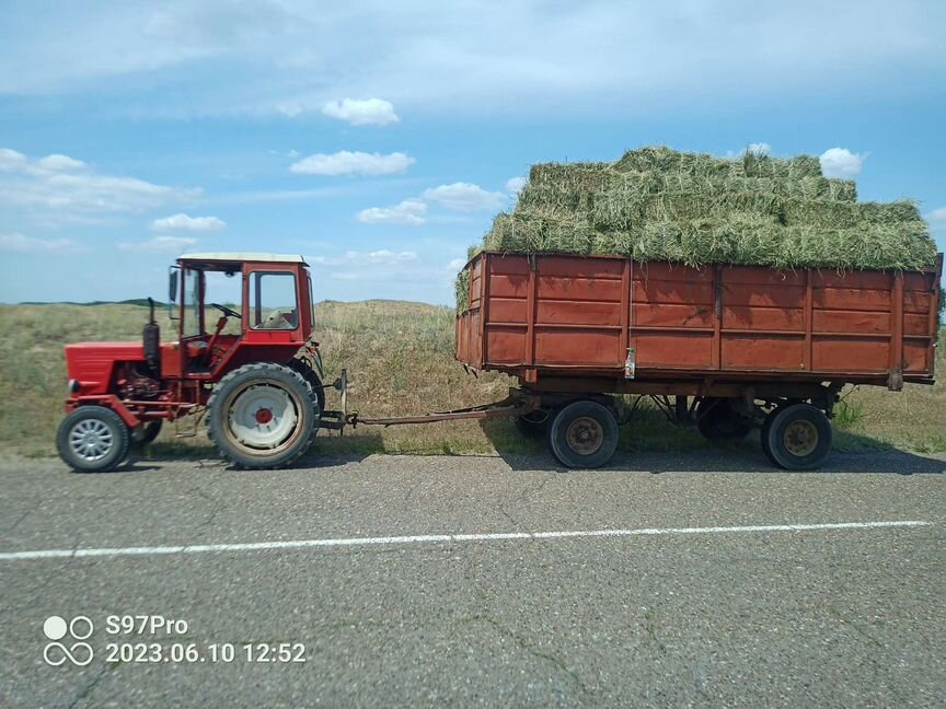 Сено в квадратных тюках