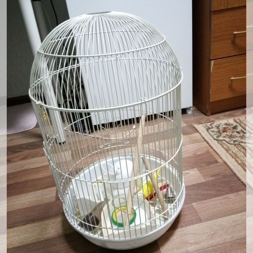 Клетка для попугая