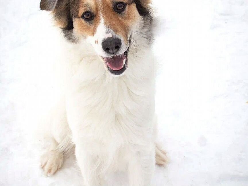 Нежный малыш мечтает о доме