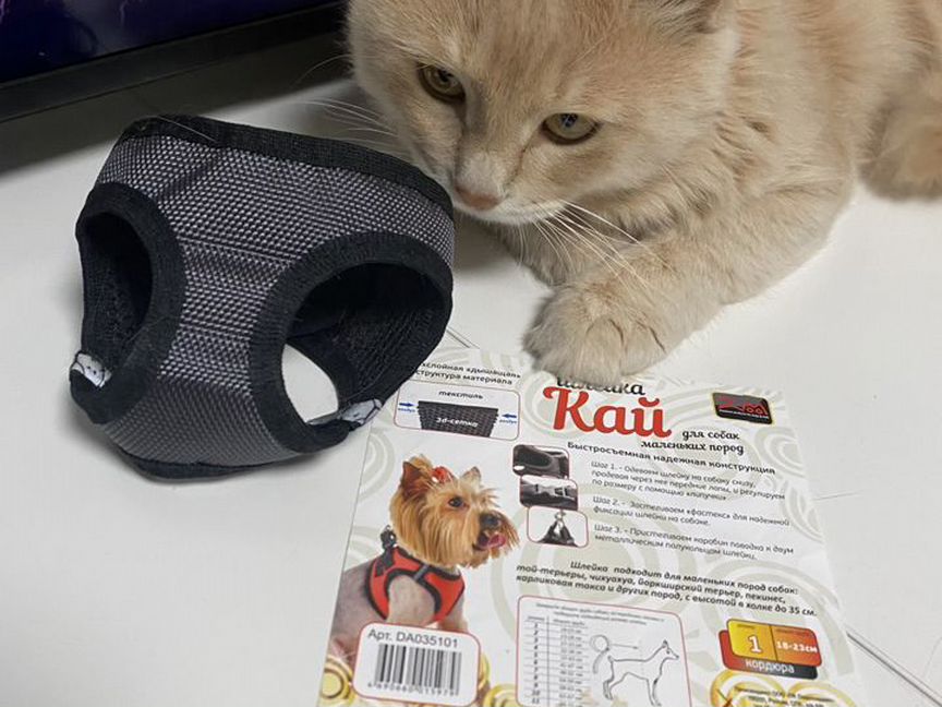 Шлейка для маленьких пород