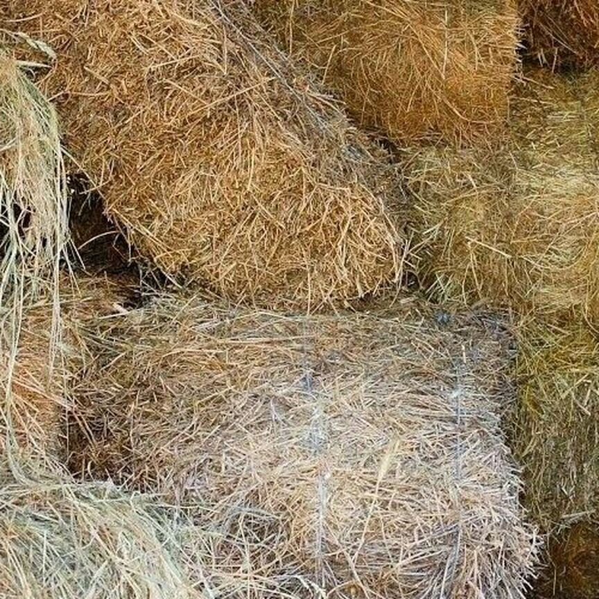 Сено в тюках. Бесплатная доставка от 40 шт