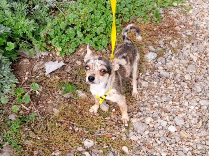 Один на миллион