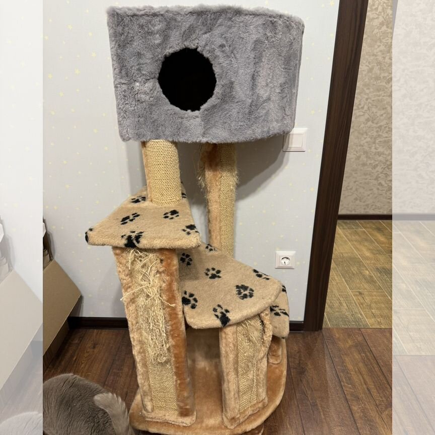 Домик для кота