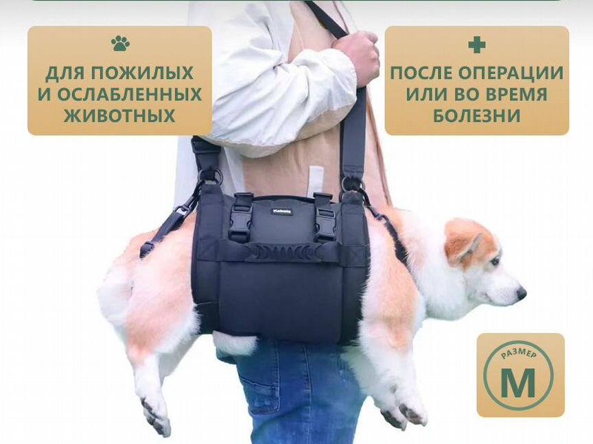 Ходунки для собак