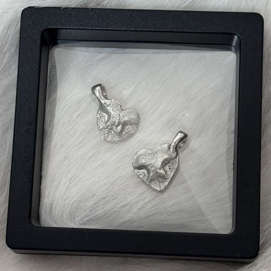 Носики Вашего животного