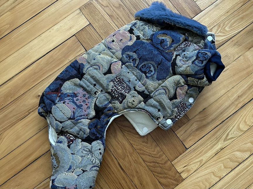 Новый зимний комбинезон для собаки