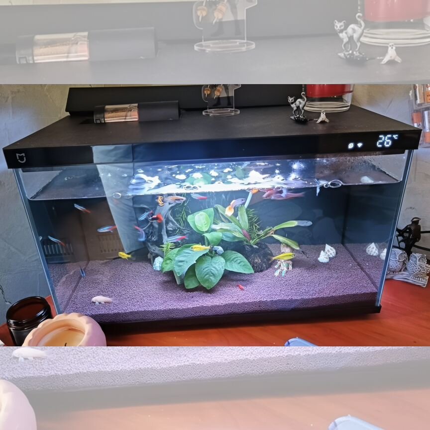 Умный аквариум xiaomi 20 литров