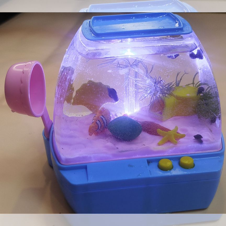 Улитки аквариумные