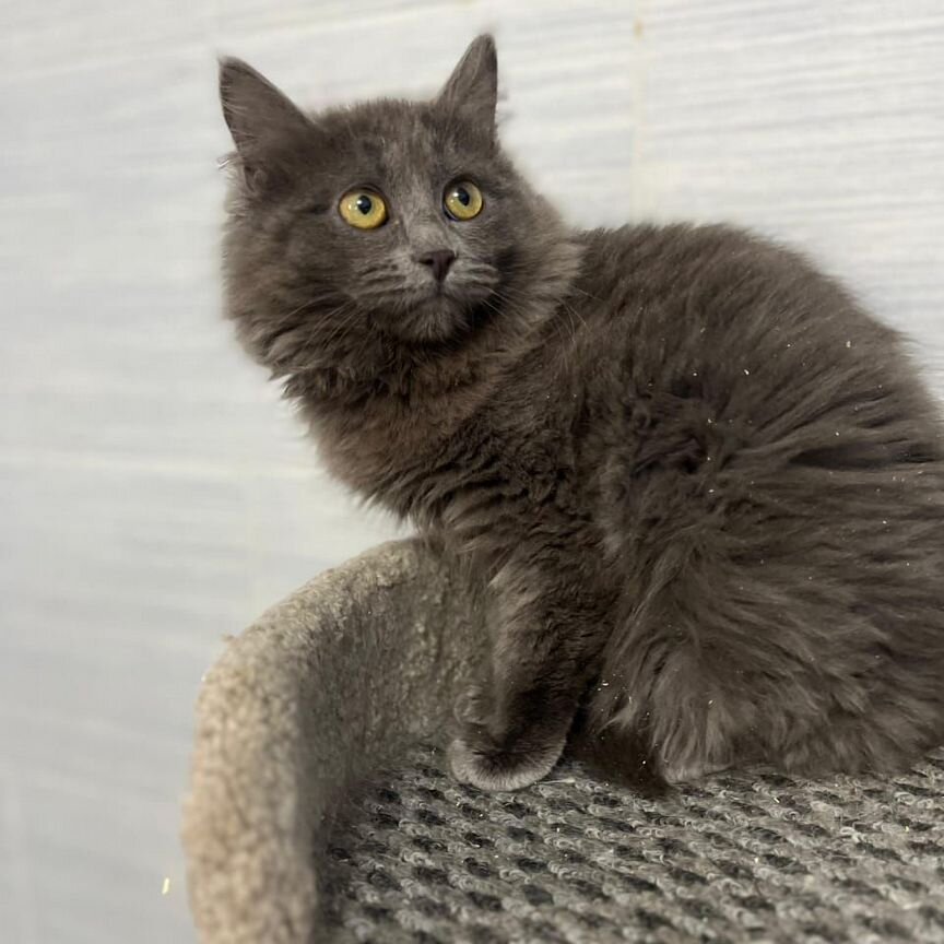 Ищем наилучших хозяев