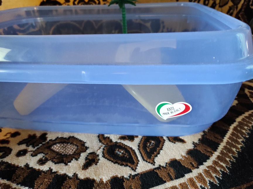 Террариум для черепах