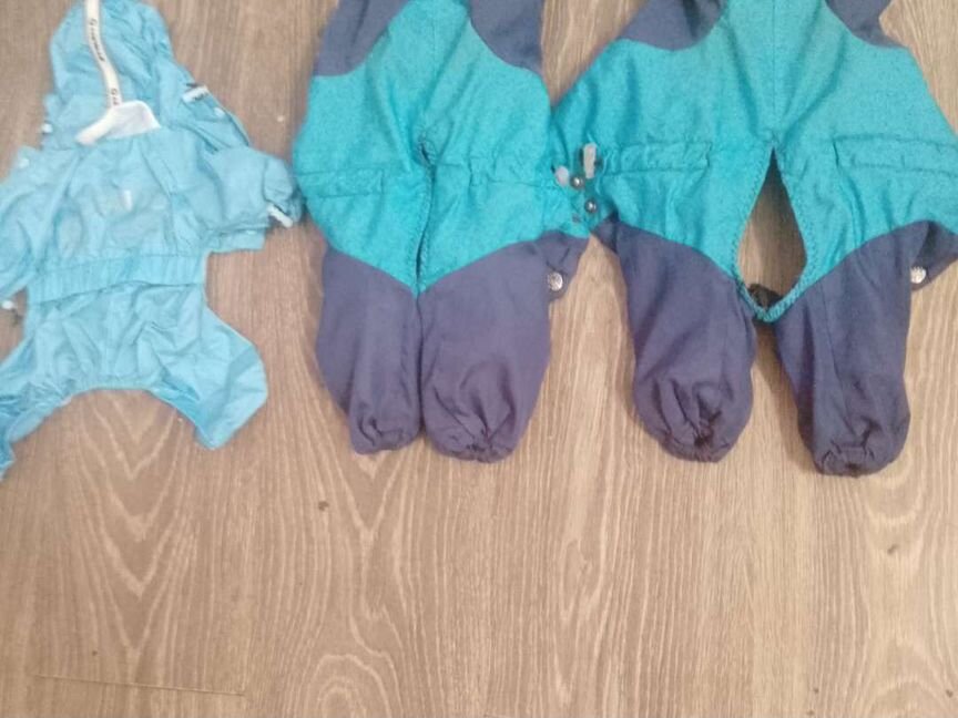 Одежда для животных