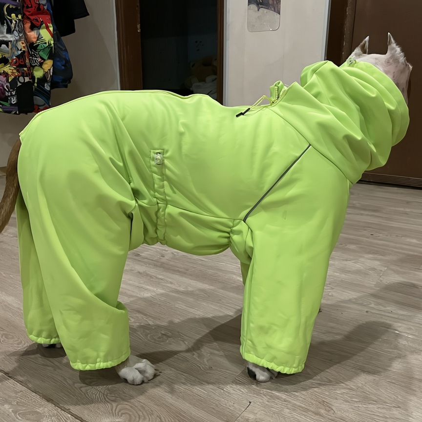 Комбинезон для собаки девочки средних пород