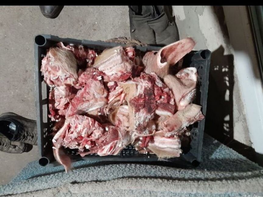 Собачий корм