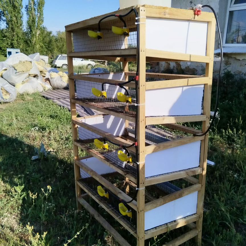 Клетки для перепелов