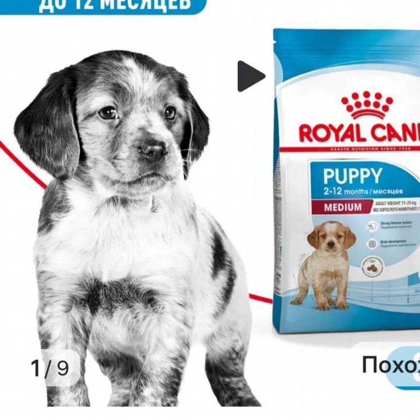Корм для собак royal canin puppy