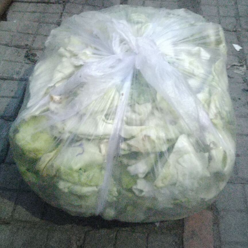 Капустный лист