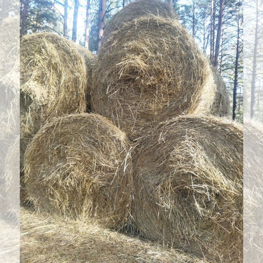 Солома в тюках