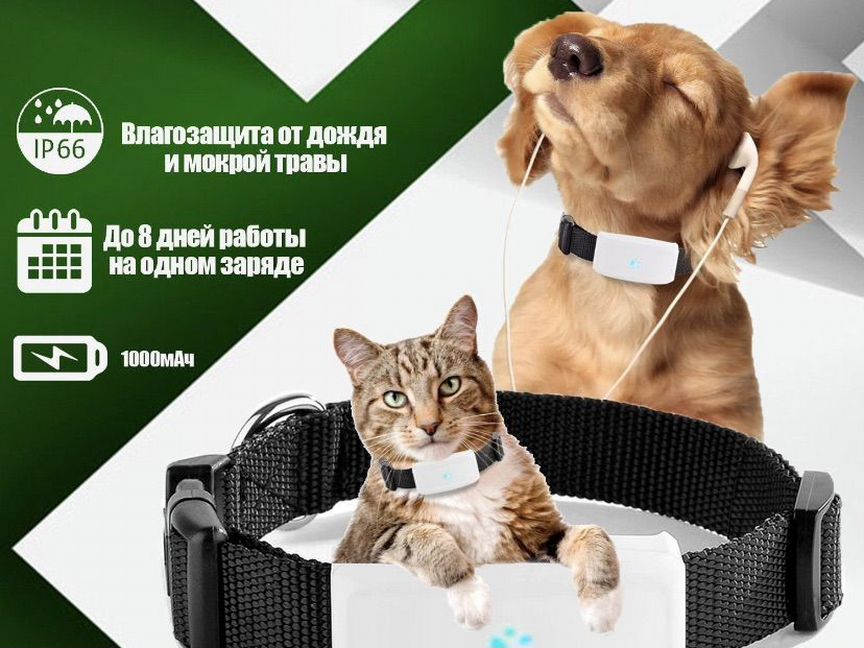 Gps трекер для кошек и собак TK911