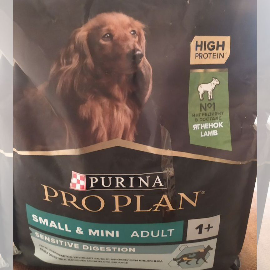 Корм для собак