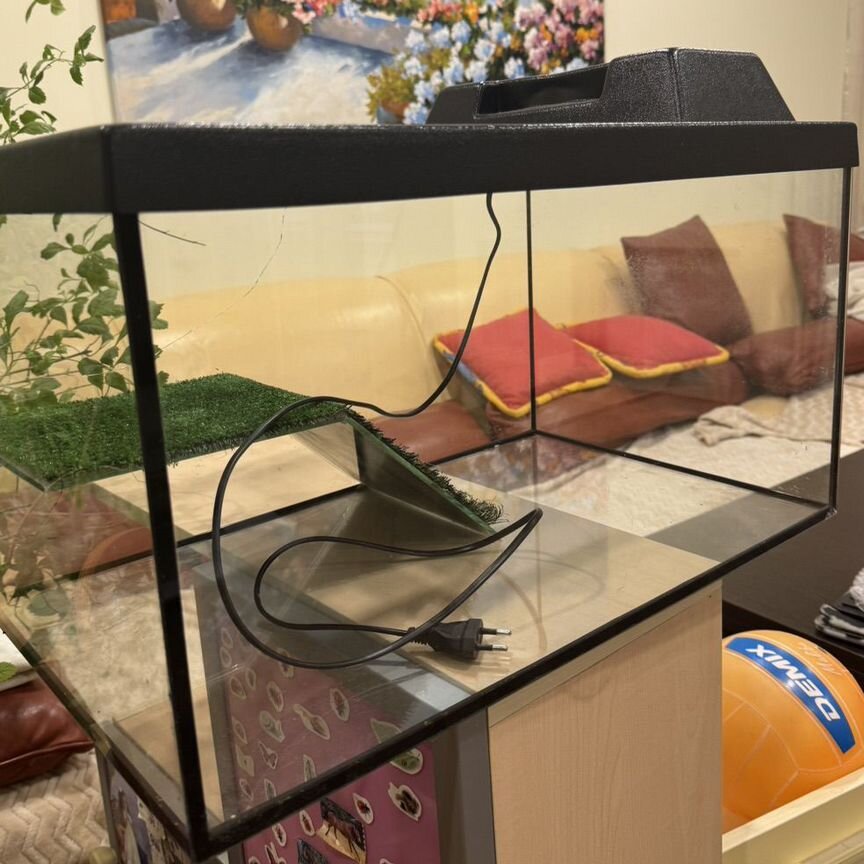 Аквариум для красноухой черепахи