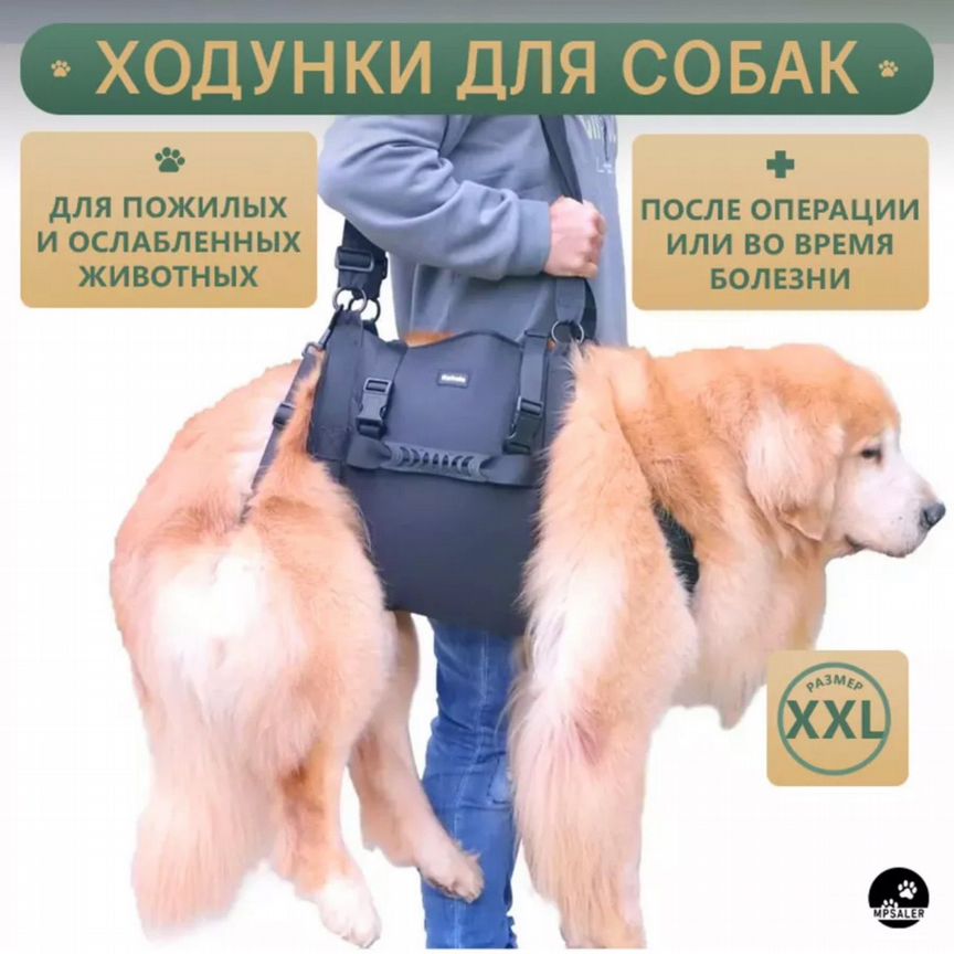 Ходунки, поддержка лап собак. XXL