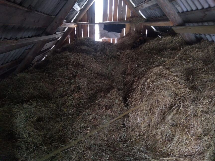 Сено луговое