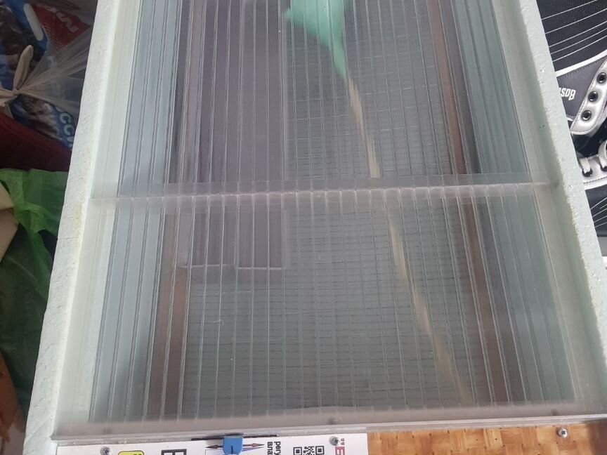 Инкубатор Блиц-норма