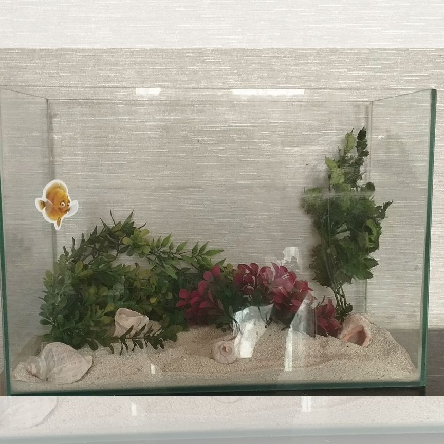 Аквариум