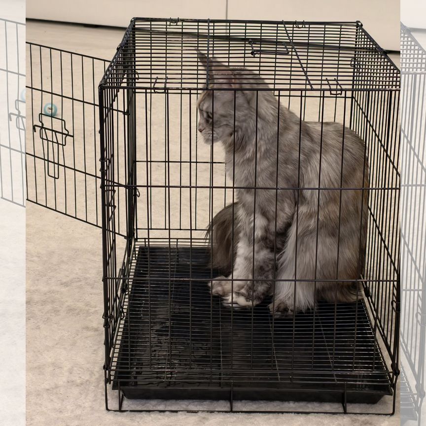 Клетка для животных