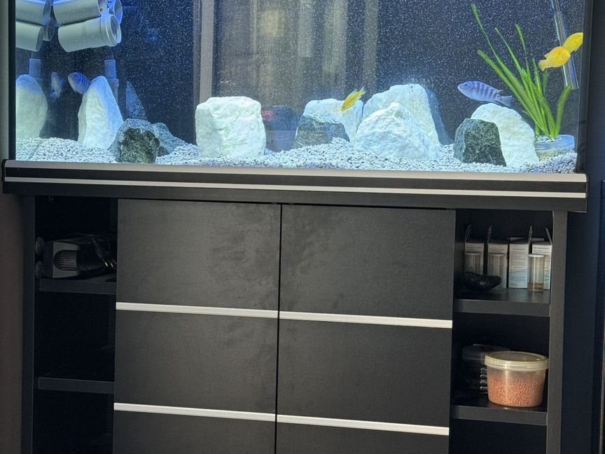 Аквариум Биодизайн Альтум 200 литров